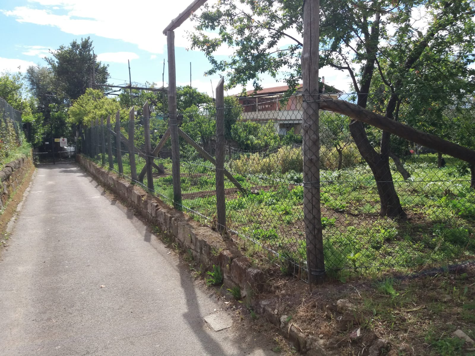 FENCE INTRUSION DETECTION SYSTEMS – Risk Management Insight